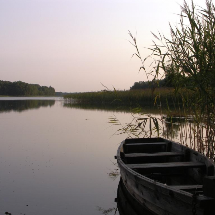 Dabas parks “Cirīša ezers” | VisitPreili.lv